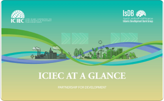 Publications - ICIEC - The Islamic Corporation for the Insurance of ...