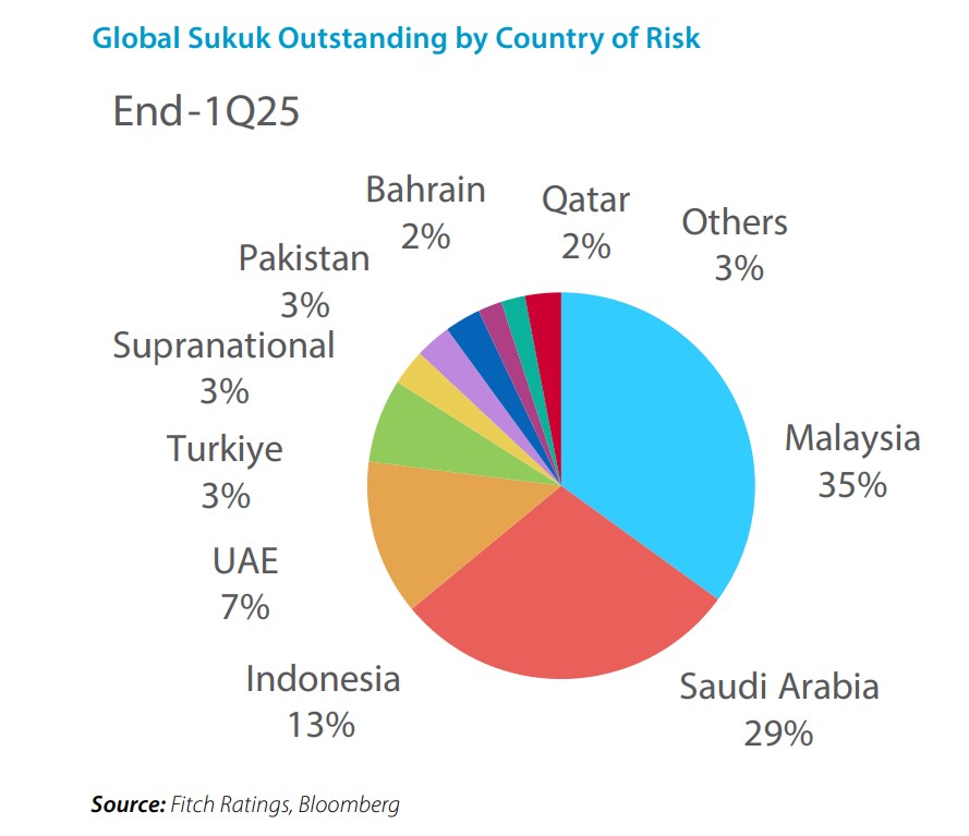 Re-imaging the Role of Murabaha Syndications and Sukuk as Development ...